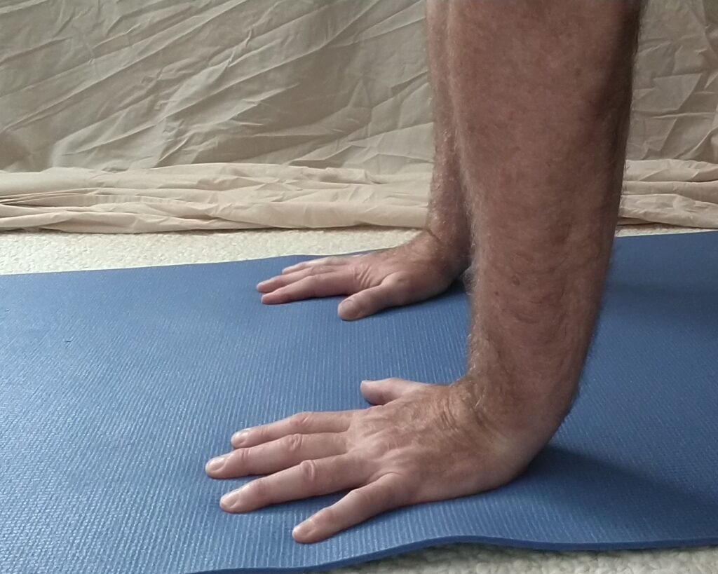 Exercise Spotlight: Wrist discomfort during pushups and pushup hold ...